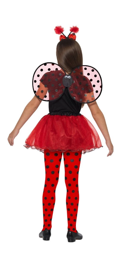 Ladybird Kit Costume – Posters Abu Dhabi